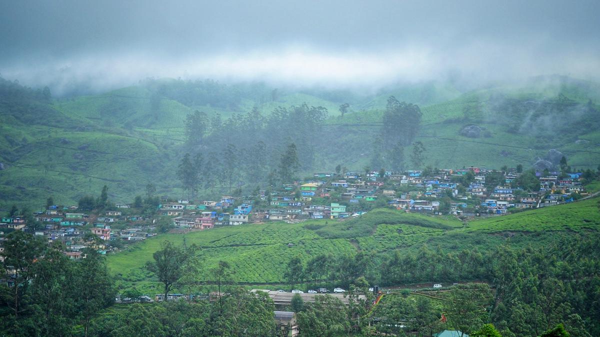 Best Resorts in Munnar for a Cozy Monsoon Getaway